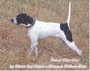 SNAKEFOOT PUPS